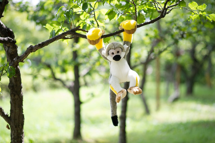 Squirrel Monkey Baby Plush – Sunbeam General Store