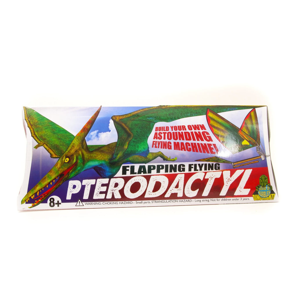 Pterodactyl Flying Machine – Sunbeam General Store