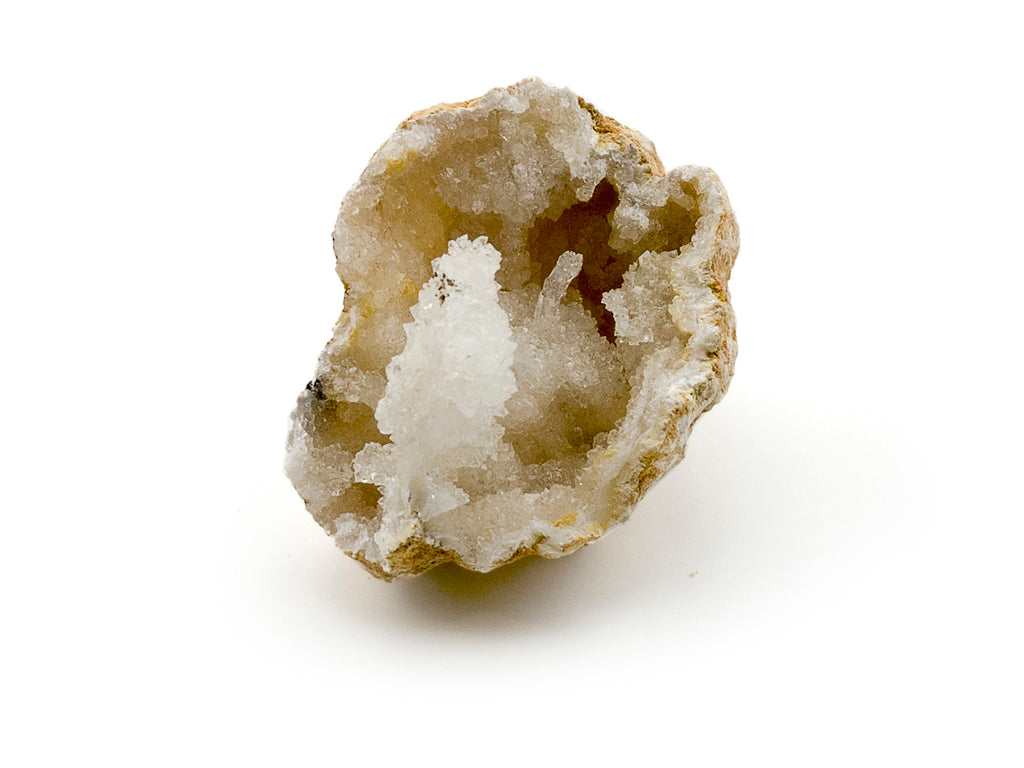 Cystoid Geode Fossil Piece – Sunbeam General Store