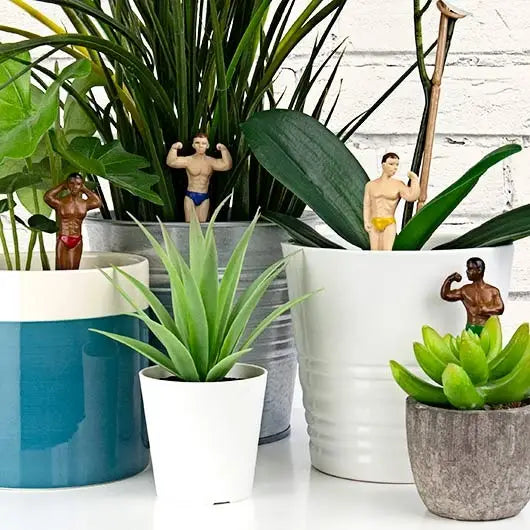 Mini Hunk Planters – Sunbeam General Store