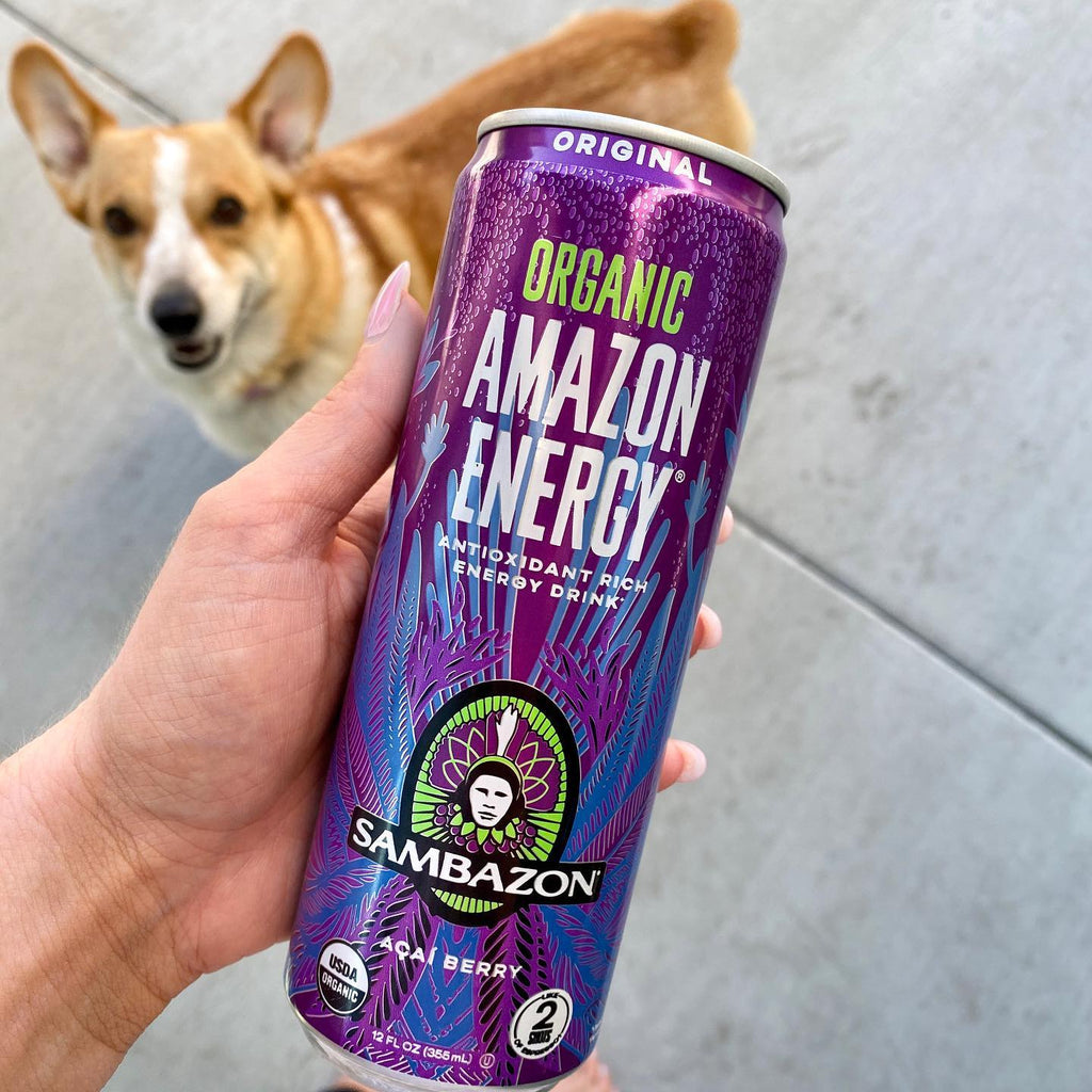 Sambazon Organic Açaí Amazon Energy Drink – Sunbeam General Store